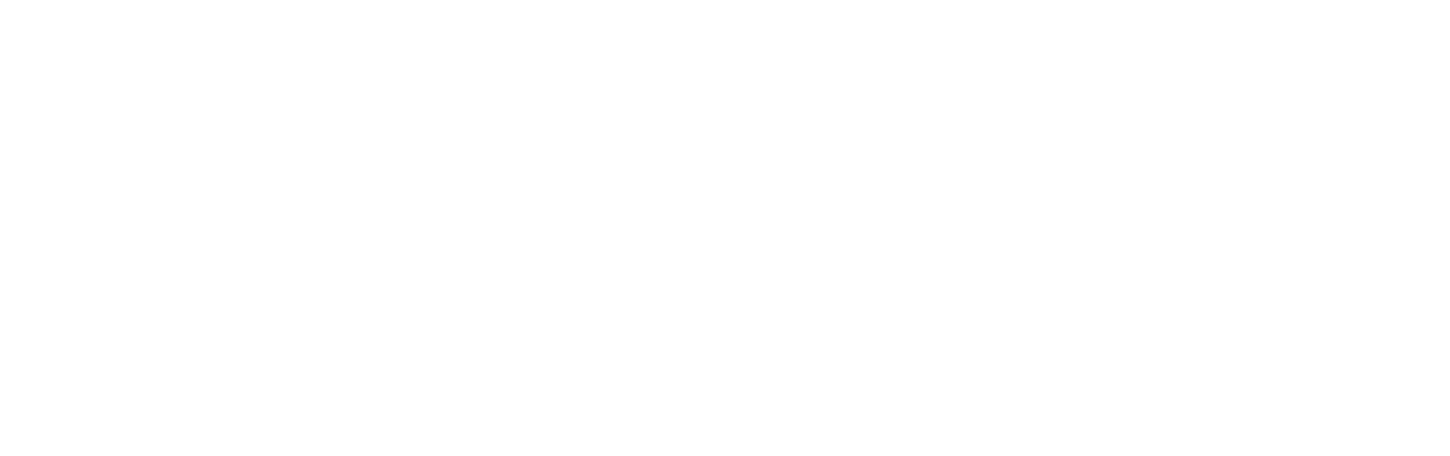Fast Flow System - Anest Iwata Americas